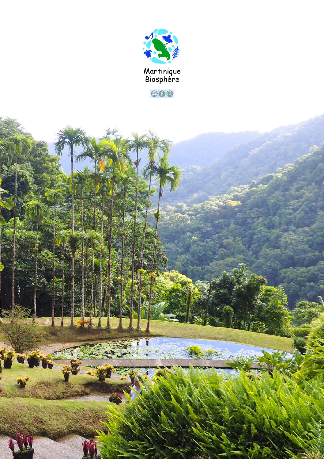 La Martinique bientôt Réserve mondiale de Biosphère ! - Martinique ...