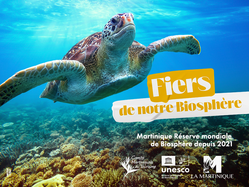 Accueil - Martinique Biosphère